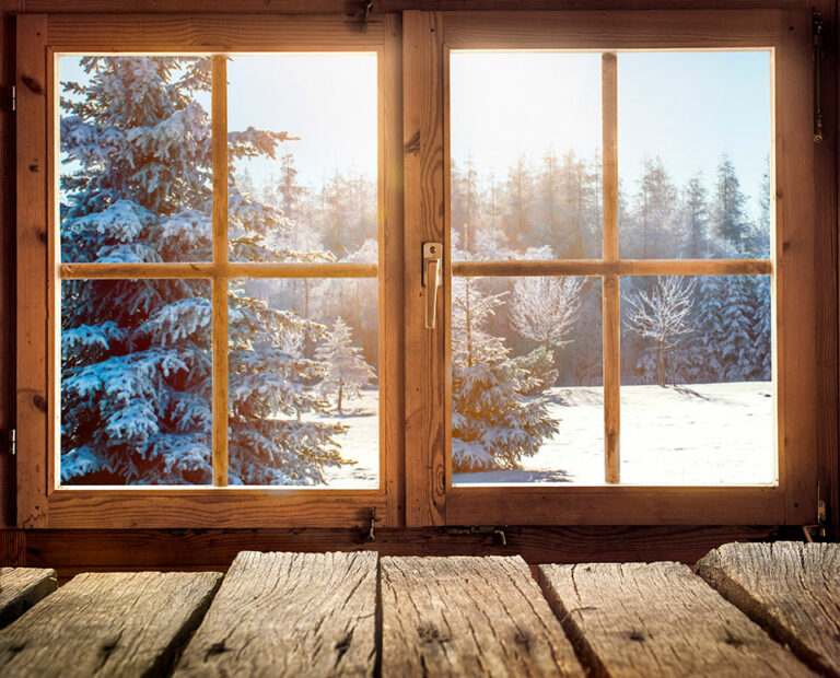 La madera transparente, ¿alternativa al cristal? - Revista Integral