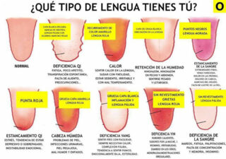 ¿Cómo está tu lengua? - Revista Integral