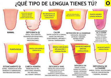 ¿Cómo está tu lengua? - Revista Integral