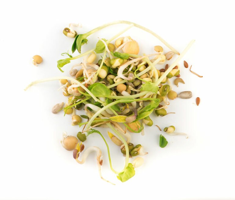 Las semillas germinadas, comida viva - Revista Integral